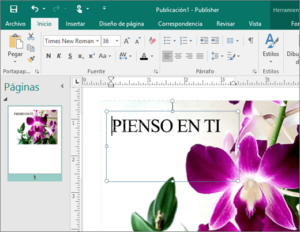 Publisher - Descargar gratis