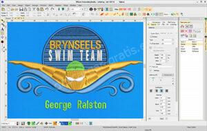 Wilcom EmbroideryStudio - Descargar gratis